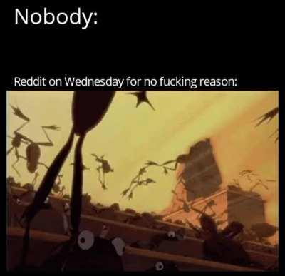 🔥 Locusts Videos 2025 🔥 || [dd] reddit.tube